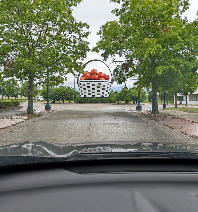 The dashboard view every road-tripper hopes for: that moment when you spot something so delightfully odd, you simply must pull over.