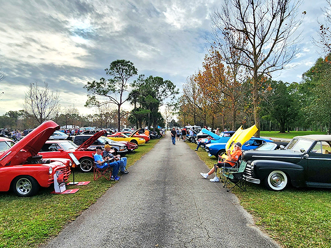 Classic car enthusiasts gather like colorful birds of a feather, sharing stories as vibrant as their meticulously restored paint jobs.