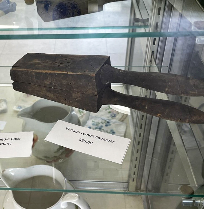 That vintage lemon squeezer has probably made more lemonade than a suburban summer, still going strong.