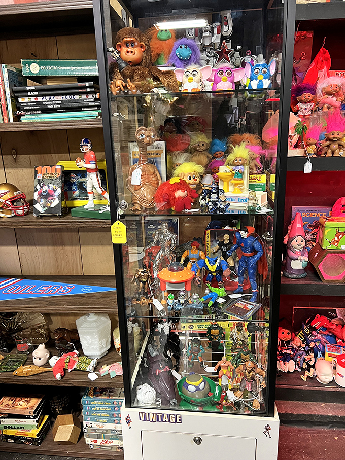 Troll dolls, Furbies, and action figures frozen in time&mdash;a plastic pantheon of toys that once dominated Christmas lists and birthday wishes.