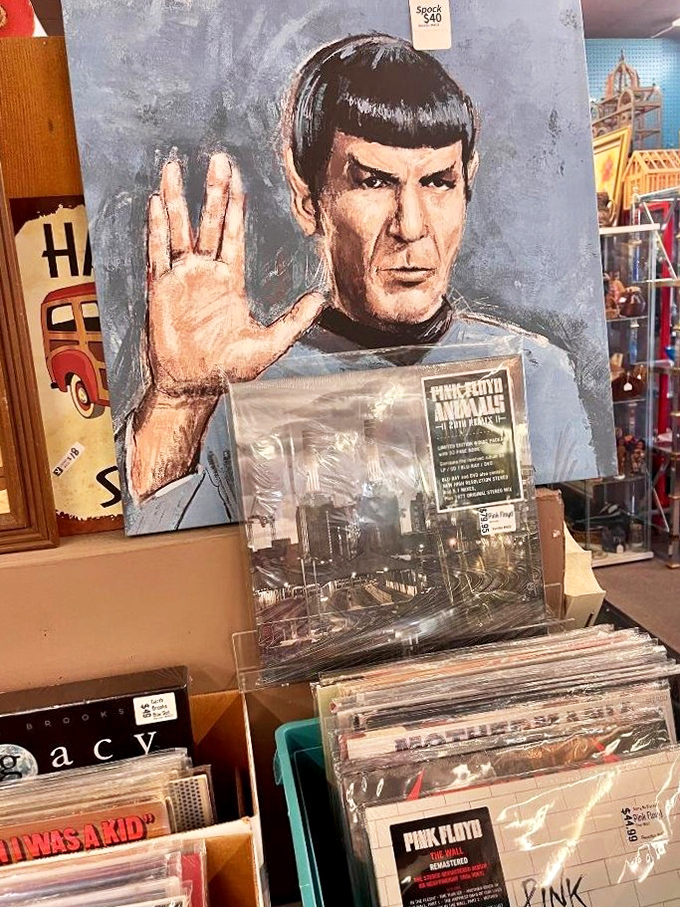 Live long and prosper with this Spock painting watching over your vinyl collection. The perfect guardian for your Pink Floyd albums.