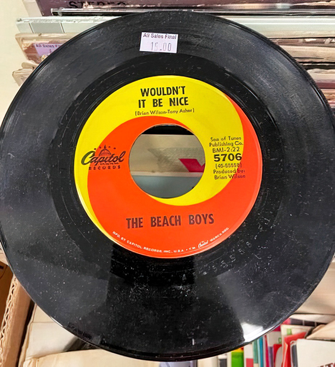 "Wouldn't It Be Nice" to find a Beach Boys original vinyl for under $20? At Care & Share, musical treasures await the patient collector.