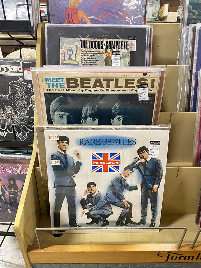 The Beatles and The Doors wait patiently in vinyl form, ready to spin tales of youth and rebellion for new generations of analog-loving listeners.