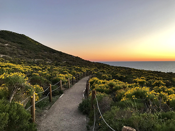 Wildflowers line the path like nature's red carpet. In spring, this trail transforms into a botanical showcase that would make any garden show jealous.