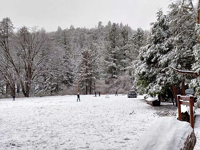 Winter transforms Idyllwild into a snow globe come to life, where families create memories in powder that feels somehow more magical than the manufactured kind at ski resorts.
