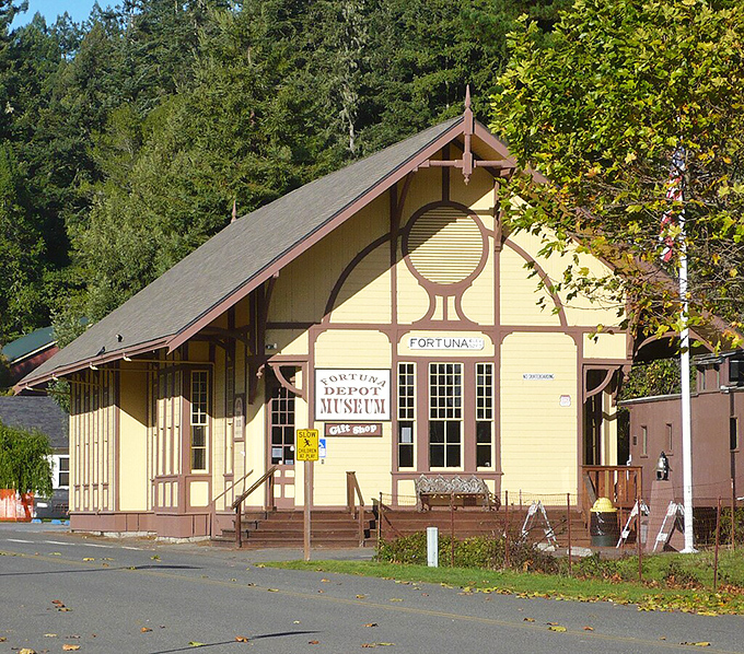Redwood country depot charm - where giant trees make even the biggest problems feel small.