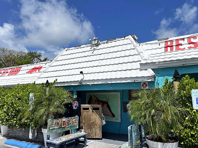 This tropical color scheme promises the kind of island dining experience that makes you forget your troubles.