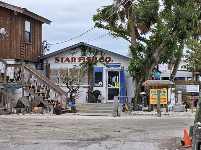 The simple exterior of Star Fish Company is the seafood equivalent of "don't judge a book by its cover" &ndash; what's inside is magnificent.