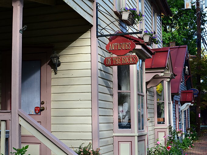 "Antiques on the Rocks" isn't a new cocktail&mdash;it's a treasure trove where yesterday's ordinary becomes today's extraordinary find.