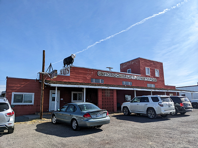 The Auction Yard Caf&eacute;, complete with rooftop cow, serves up hearty meals with a side of local character and zero pretension.