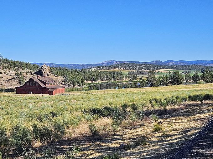 Rolling countryside stretches endlessly, proving Oregon's beauty extends far beyond famous coastlines.