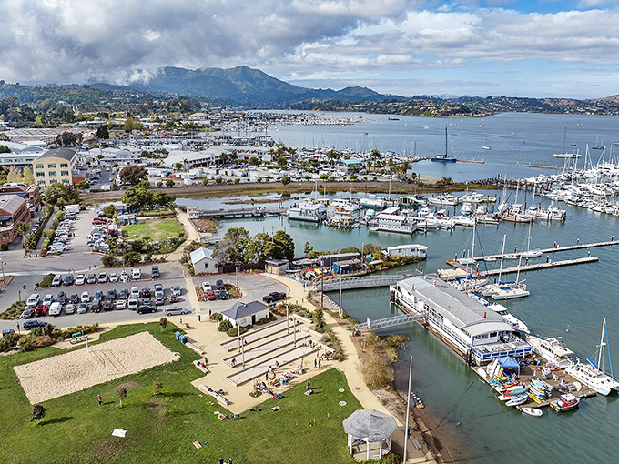 From above, Sausalito's marina resembles a carefully arranged model village, with boats, buildings, and boardwalks creating a real-life diorama of coastal California living.