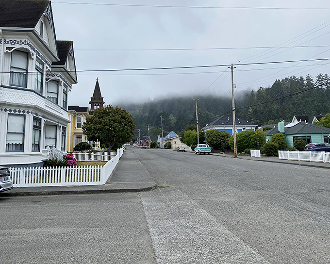 Morning fog rolls in from the Pacific, wrapping Ferndale's gingerbread-trimmed homes in a mystical embrace that feels quintessentially Northern Californian.