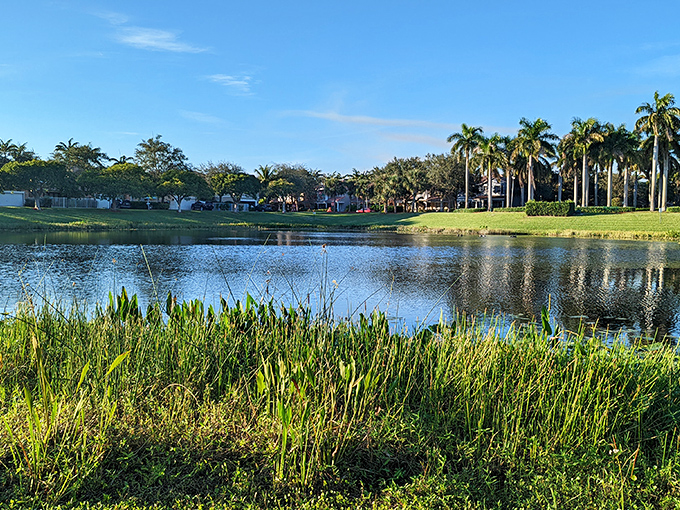 Community parks in Delray prove that paradise doesn't require an admission fee&mdash;just a willingness to slow down and appreciate the view.