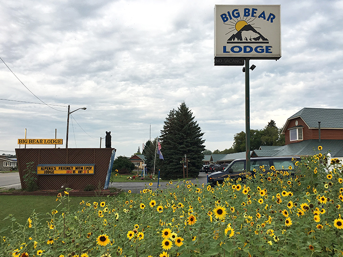 Big Bear Lodge greets visitors with a sunflower welcome committee, proving that Northern Michigan hospitality begins before you even reach the front door.