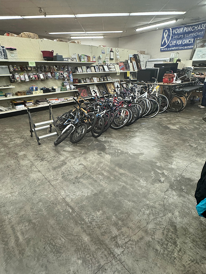 The bicycle brigade stands ready for new adventures. From first-time riders to serious cyclists, there's a set of wheels for every journey.