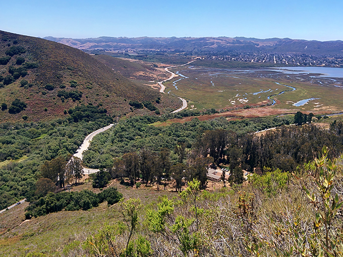 Hiking trails offering views that justify every huffing, puffing step you took to earn this spectacular coastal panorama.