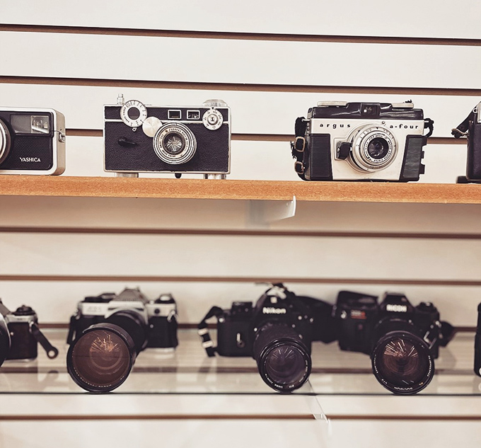 Vintage cameras line up like mechanical sentinels, their lenses having captured countless memories before becoming collectibles themselves. Every photographer's secret desire.