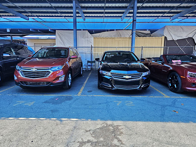 Used cars await their next adventure, each one carrying stories and ready to write new chapters.