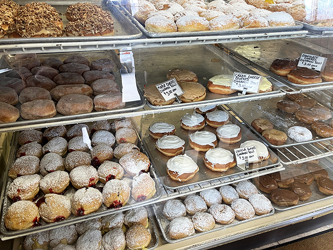 A display case that's basically the Sistine Chapel of fried dough. Each shelf tells a different sweet story—from jelly-filled to cream-topped masterpieces.