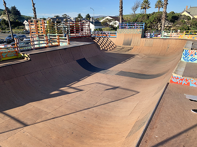 The skate park curves like a concrete wave, where graffiti meets gravity and teenagers perfect the art of controlled falling.