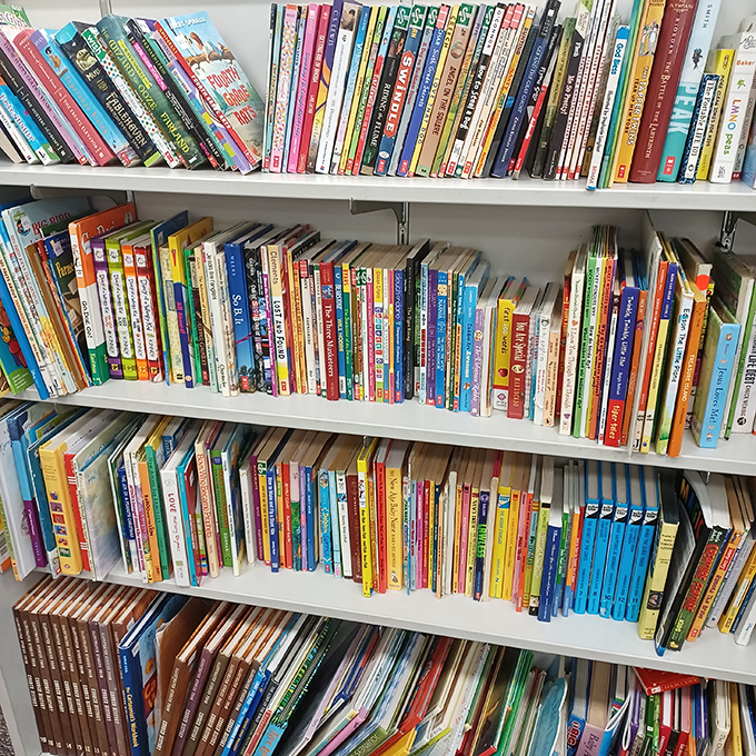 Children's book wonderland where beloved stories find new homes. From Dr. Seuss to Diary of a Wimpy Kid, literary adventures await.