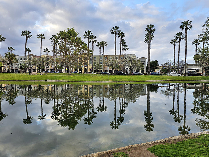 Marina View Park's reflecting pool doubles nature's beauty. Those palm trees are showing off, and honestly, who can blame them?