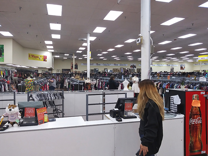 The checkout counter &ndash; final gateway between discovery and ownership. After the thrill of the hunt comes the satisfaction of incredible savings. 