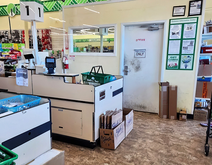 The efficient checkout counter where dreams of stretched dollars become reality, staffed by professionals who understand value appreciation.