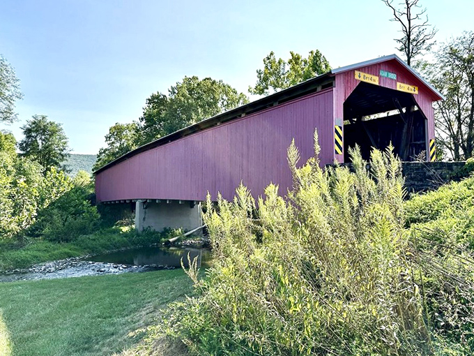 Summer's greenery creates the perfect contrast to the bridge's distinctive color, a photographer's dream in every season.