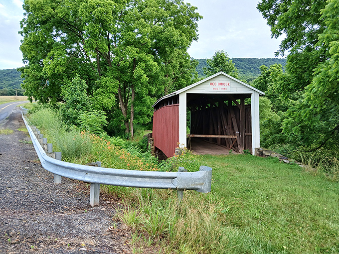 The approach view showcases how perfectly the bridge nestles into its surroundings, a man-made structure that somehow enhances natural beauty.
