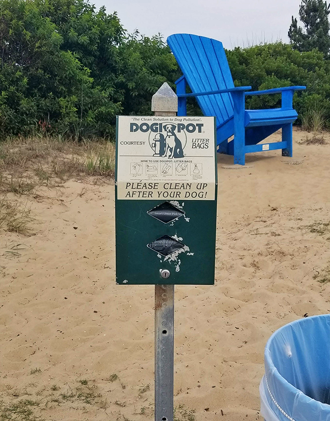 The universal language of responsible pet ownership, translated into beachspeak with a bright blue chair for emphasis.
