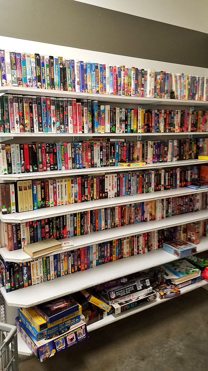 The DVD collection rivals any streaming service, offering cinematic journeys from every genre without monthly subscription fees or spotty internet connections.