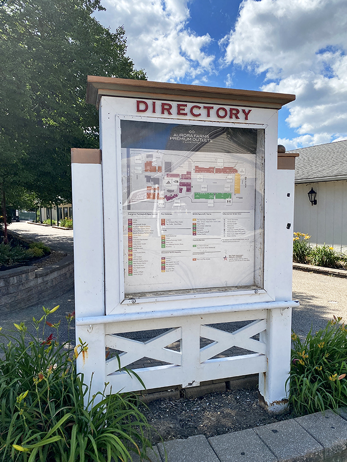 The directory: your treasure map to savings. Study it like you're planning a heist, because in a way, you kind of are.