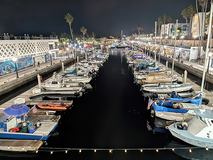 Where the boats deliver tomorrow's menu &ndash; fresher than this and you'd need scuba gear to eat.