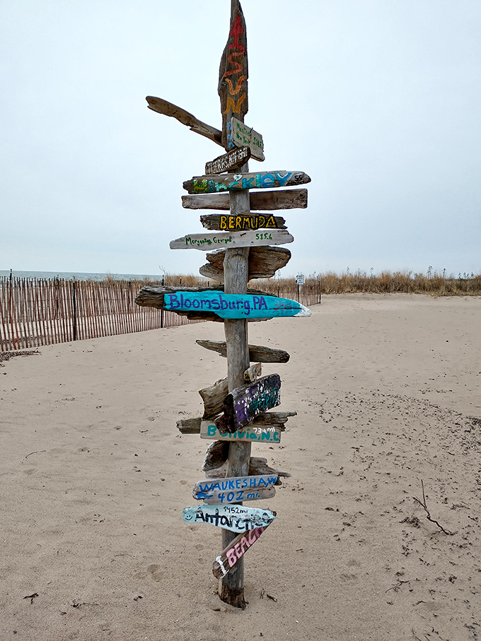 The beach equivalent of a passport stamp collection&mdash;this driftwood signpost reminds us that paradise is closer than we thought.