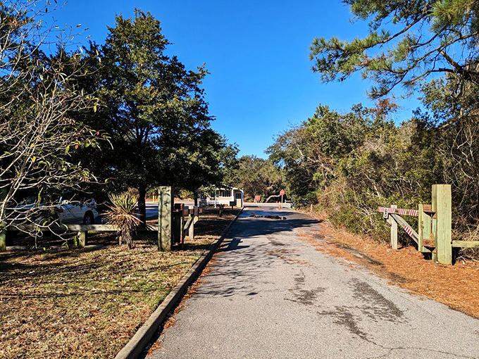 The entrance road promises adventures ahead&mdash;like the opening credits to your own personal nature documentary, minus the dramatic voiceover.