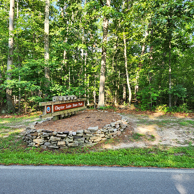 The entrance that whispers, "Leave your stress at the stone wall." Nature's version of the "Do Not Disturb" sign.