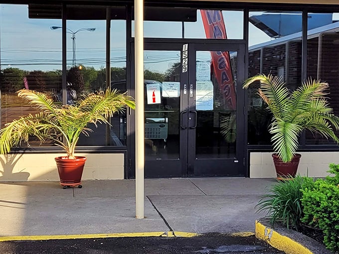 Palm plants flanking the entrance like tropical bouncers guarding the gateway to flavor paradise. Your pizza journey begins here.