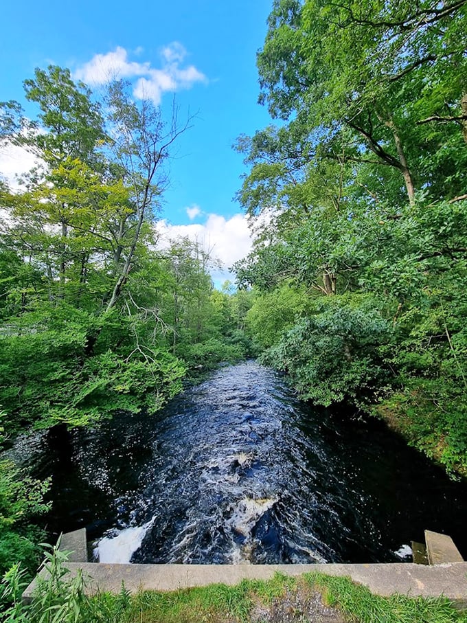The rushing waters below, endless sky above. Standing here, you're perfectly suspended between two blue infinities of Pennsylvania wilderness. 