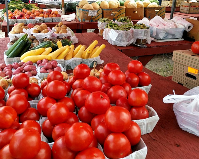 Nature's jewels arranged with care&mdash;tomatoes so red they practically glow, waiting to transform tonight's dinner table.