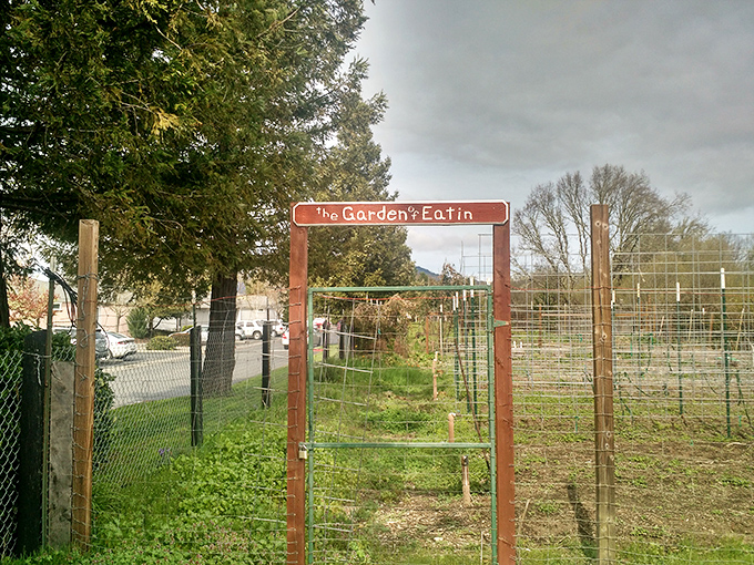The Garden's Eatin' gate welcomes visitors to a patch of green possibility, where vegetables grow and volunteers flourish.