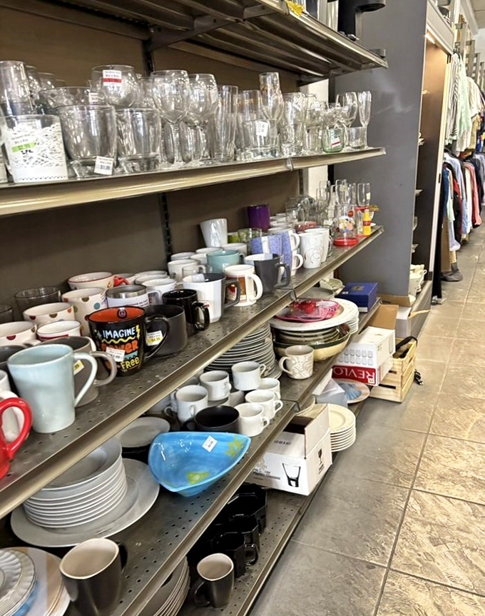 Stemware, mugs, and dishes galore—because mismatched glassware isn't a mistake, it's a deliberate aesthetic choice (at these prices).