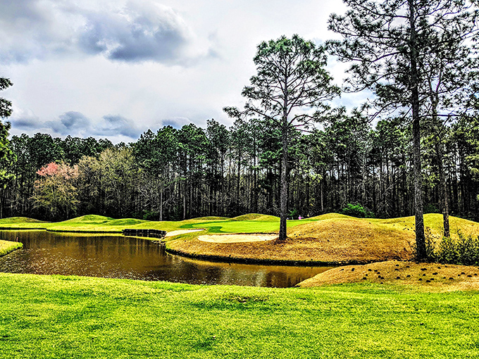 Golf courses nestle among pine forests, offering retirement recreation where every swing comes with a side of spectacular scenery.