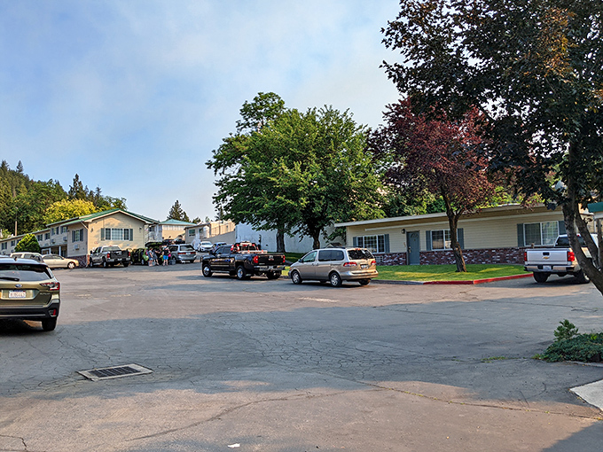 The Hi-Lo Motel proves that affordable lodging doesn't have to mean sacrificing charm or cleanliness.