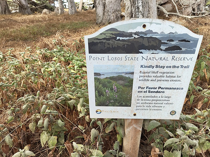 Educational signage that doesn't scream "boring museum exhibit." The perfect blend of useful information and gentle reminders to be a decent human.