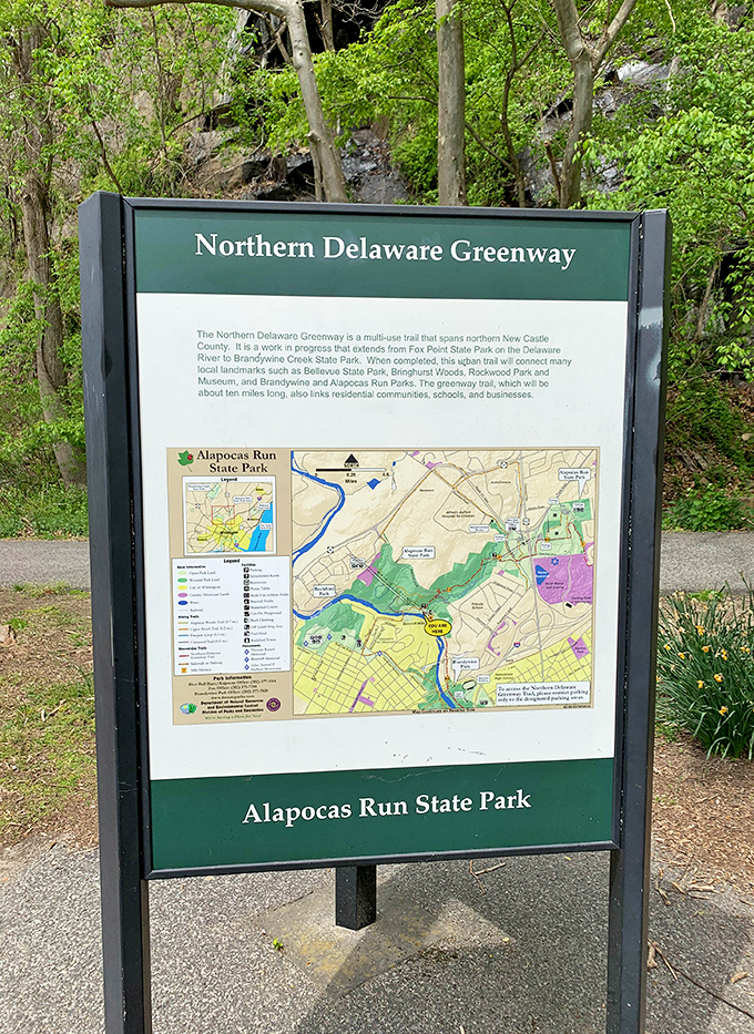 Your roadmap to adventure: this informative sign ensures you won't miss any of Alapocas Run's hidden treasures. Though getting a little lost has its charms too.