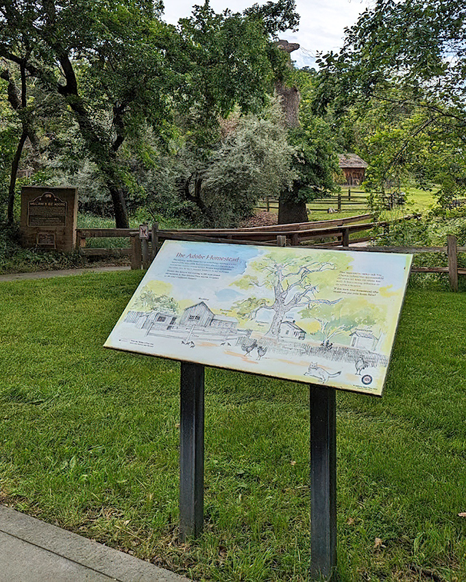 Interpretive panels transform a simple walk into a time-traveling adventure, illustrating how this landscape looked during the Bear Flag Revolt.