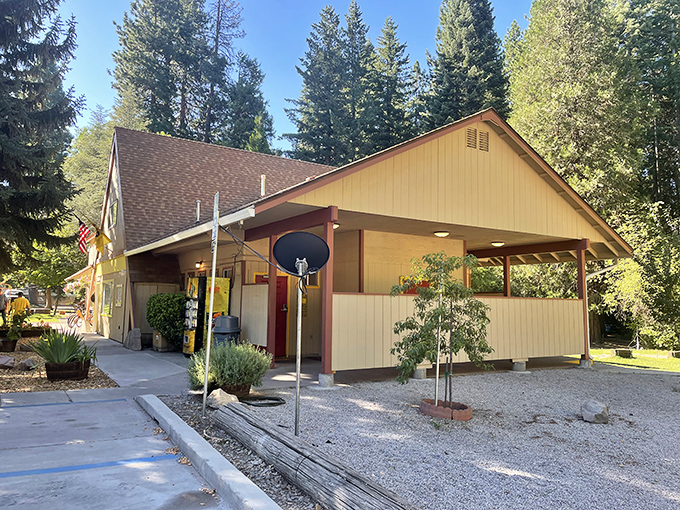 Camping with amenities &ndash; because roughing it doesn't mean you can't have a hot shower afterwards.