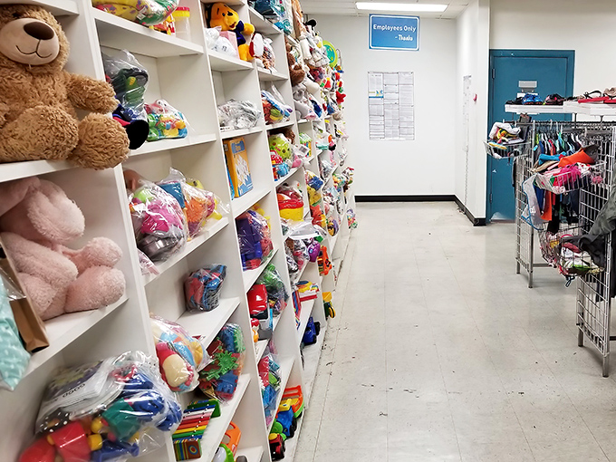The toy section: where childhood dreams get a second chance and grandparents become heroes without breaking the bank.